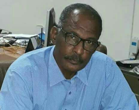 WFP: The RSF Militia Loots a Plane – Sudan Events