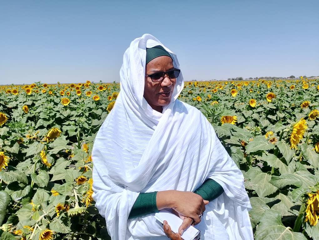 Implementing clean energy projects in the White Nile – Sudan Events