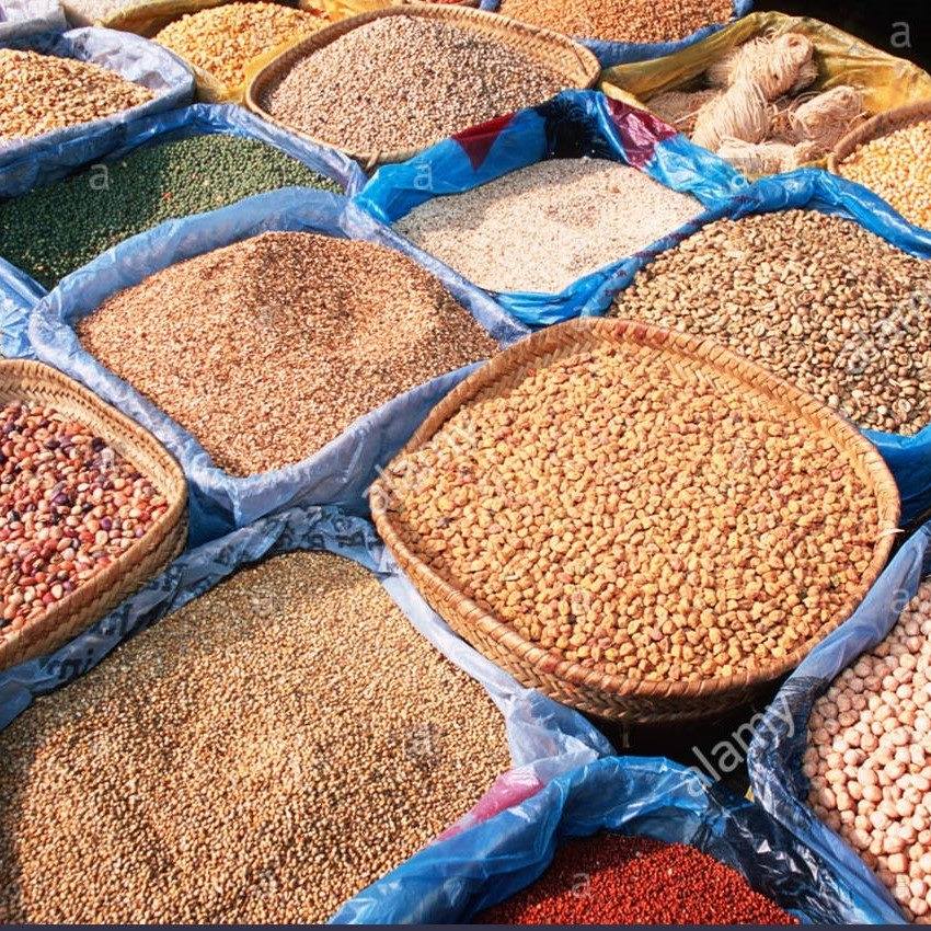 Sorghum Prices Rise in Gedaref as Sesame Falls – Sudan Events