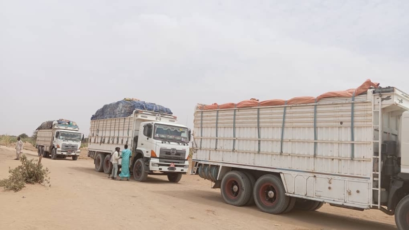 Revealed: RSF Captures Aid Workers from International Relief ...