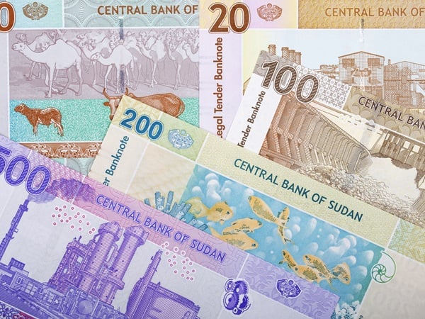 As the Sudanese Pound Continues to Plummet… Gold Monopoly Becomes the ...