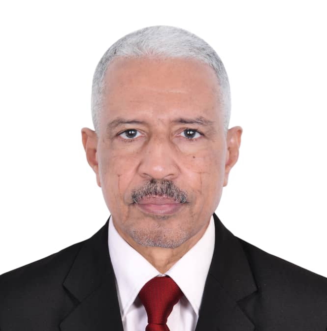 The President of the Gum Arabic Exporters Division in an Interview with ...