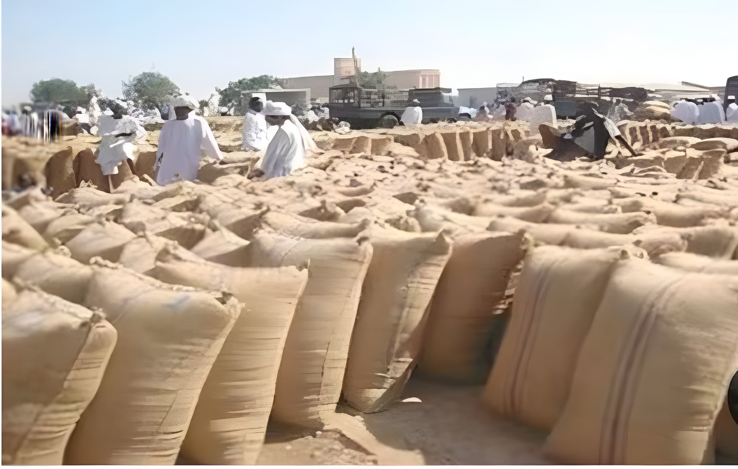 Details of Agricultural Crop Prices – Sudan Events