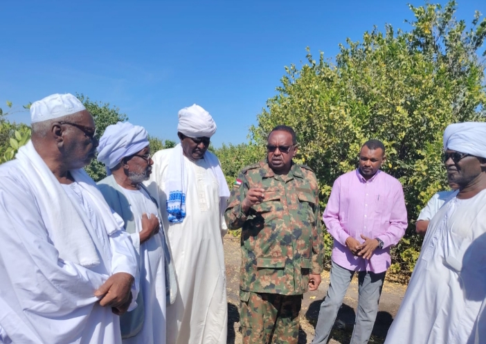 High Onion Yield in Gezira Scheme – Sudan Events