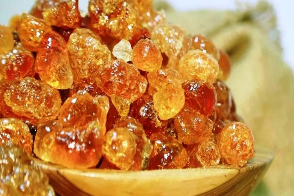 Nader Al-Hilali: Gum Arabic Is a Sovereign Strategic Asset – Sudan Events