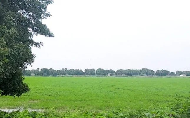 Russian Forces Kill and Injure 17 Sudanese in Central African Republic ...