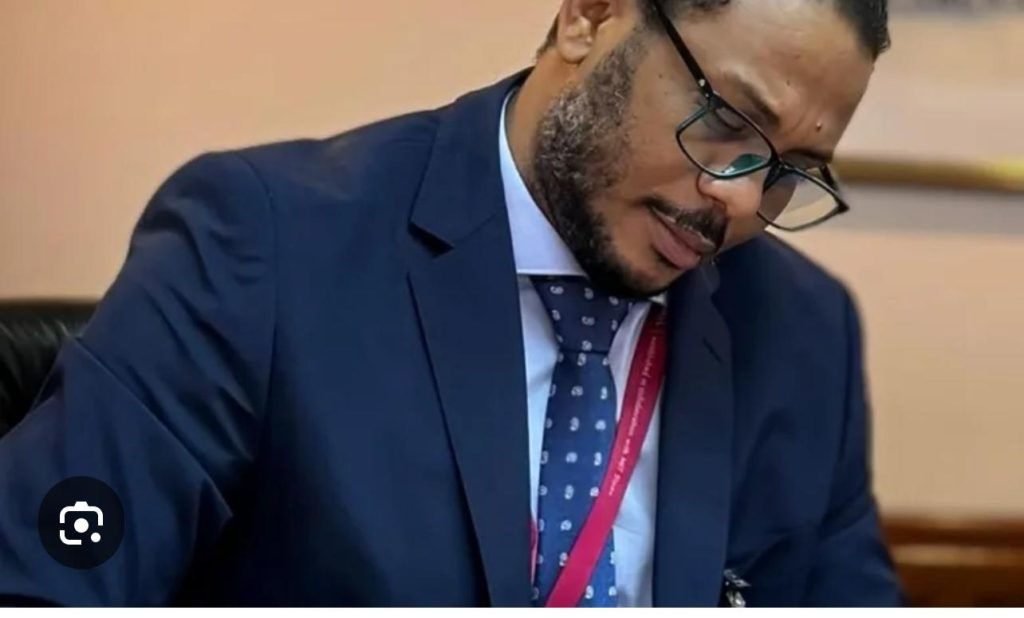 Historic Surge in Sudan’s Gold Revenues: Estimated Annual Production ...