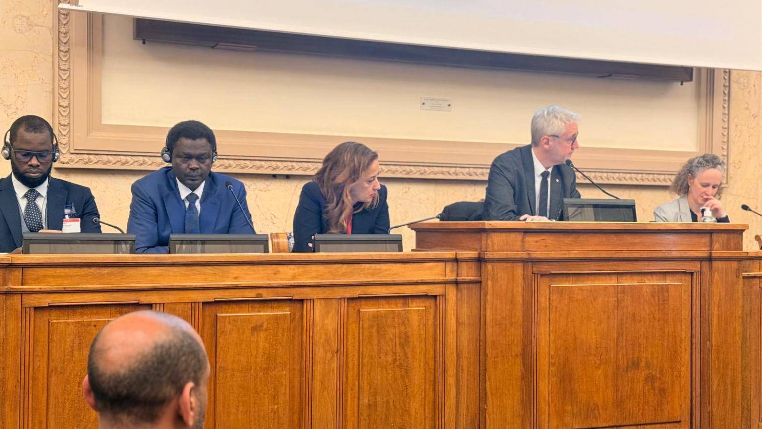 Commander Minni Arko Minnawi Addressing the French Parliament – Sudan ...